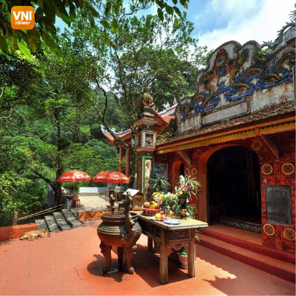 TAM DAO TOURISM – THE TOWN IN CLOUD OF NORTH VIETNAM