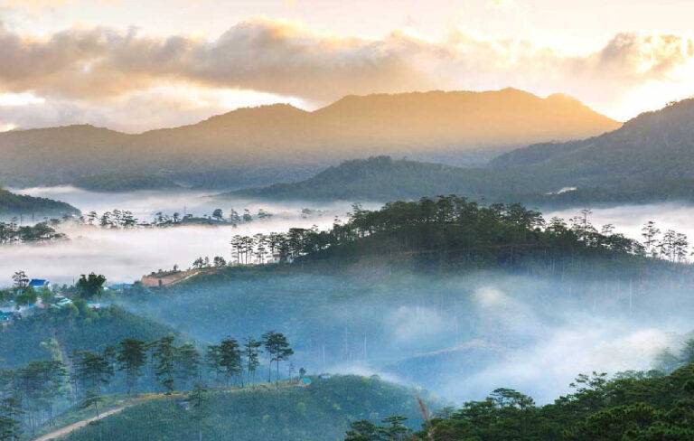 Top-notch spots for bird-watching in Da Lat